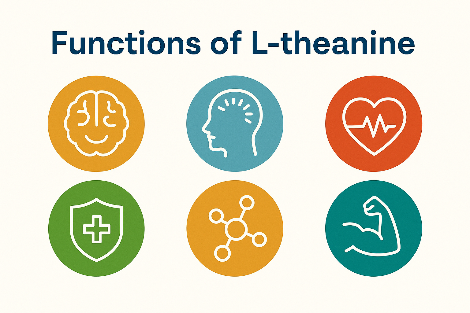 Functions of L-theanine – Ausway Biotech